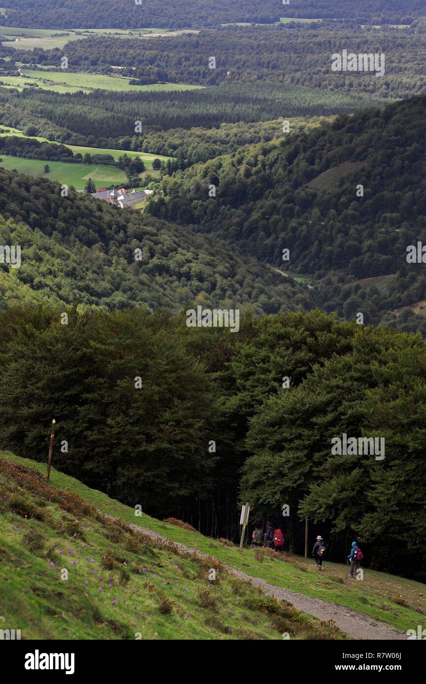 Spain, Basque Country, Navarra, pilgrims on the Camino de Santiago (the ...