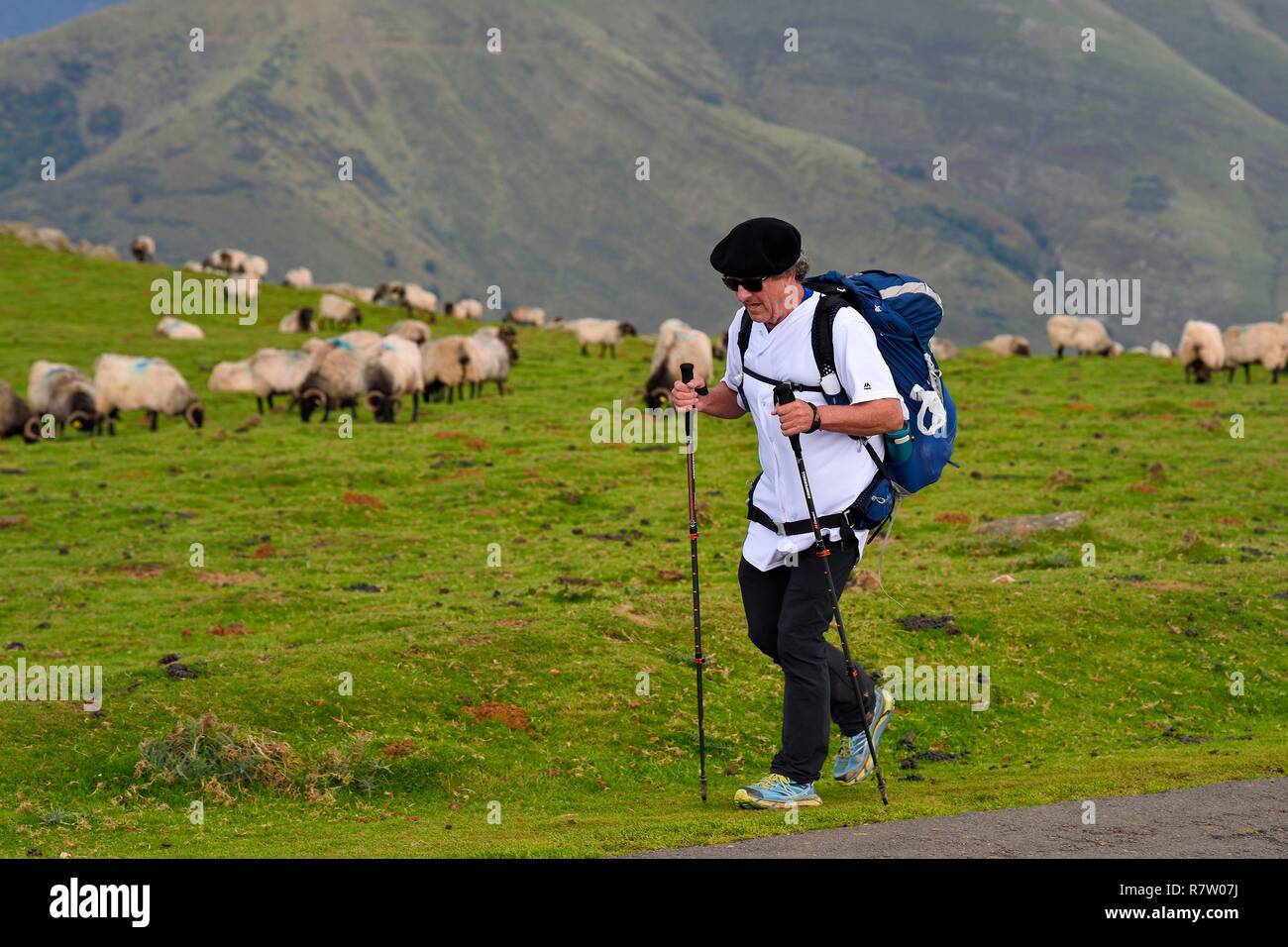 Basque people beret hi-res stock photography and images - Alamy