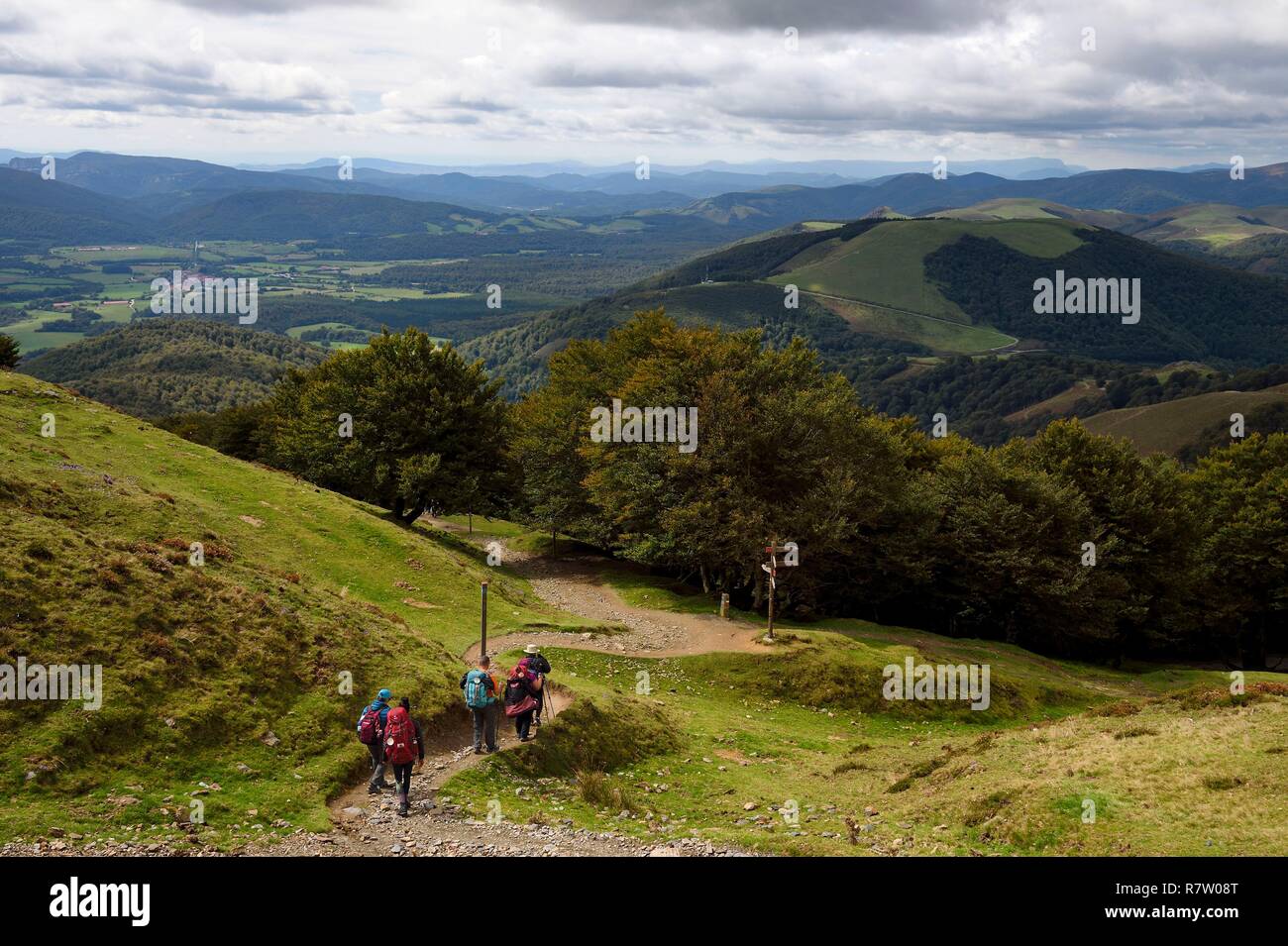 Spain, Basque Country, Navarra, Camino de Santiago (the Way of St ...