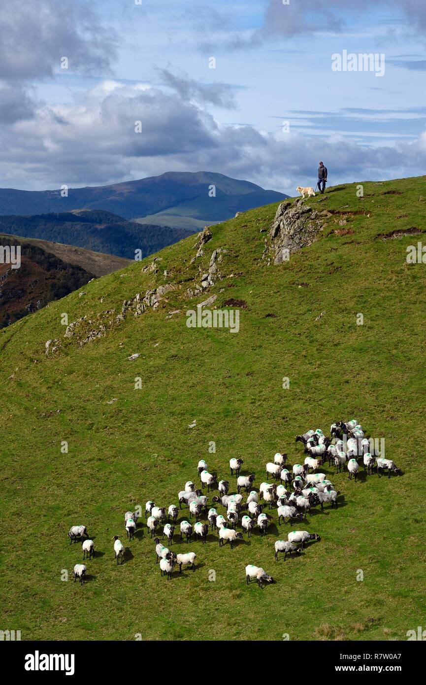 Are Basque Shepherds Happiest
