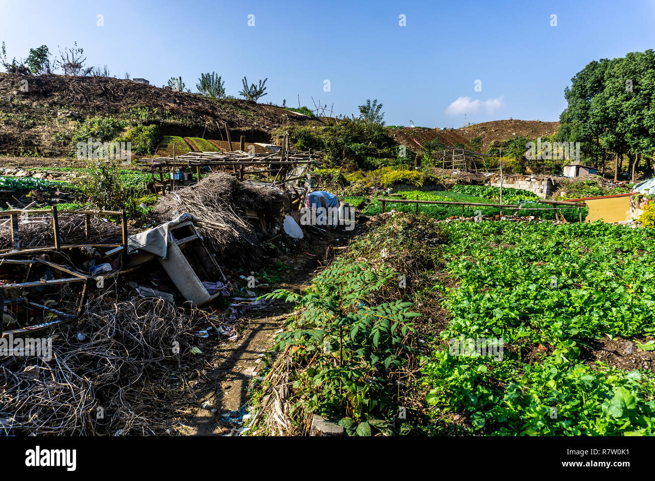 Anhui food china hi-res stock photography and images - Alamy