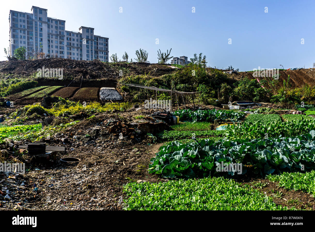 South anhui hi-res stock photography and images - Alamy