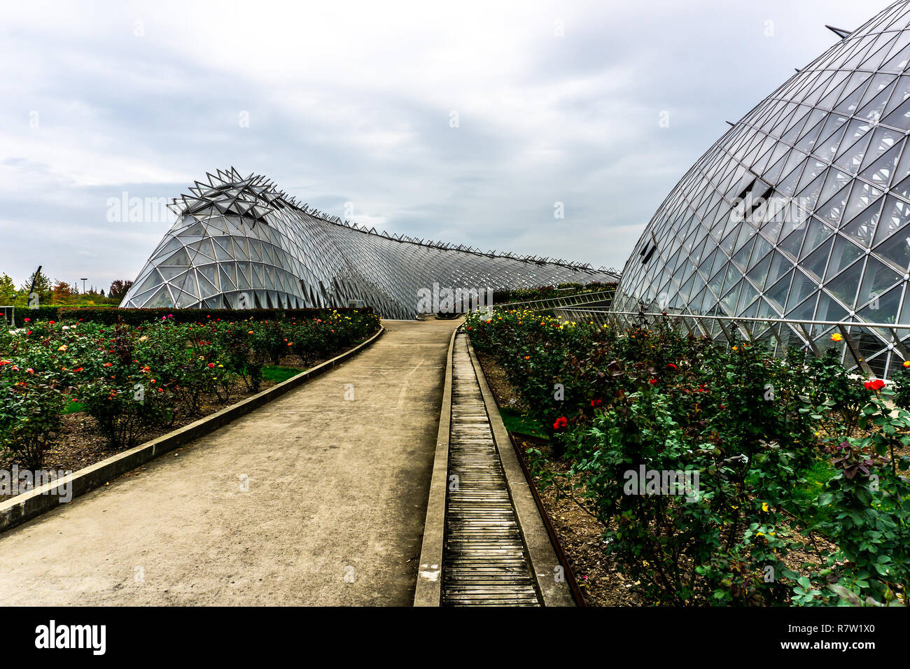China Shanghai Botanical Garden with Greenhouse and Leading Lines Path ...