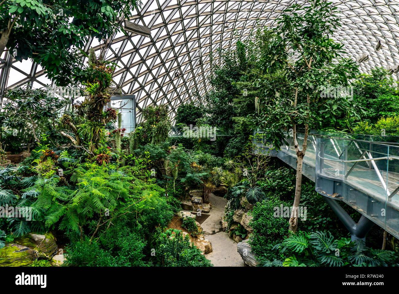 China Shanghai Botanical Garden Greenhouse Humid Subtropical Climate ...