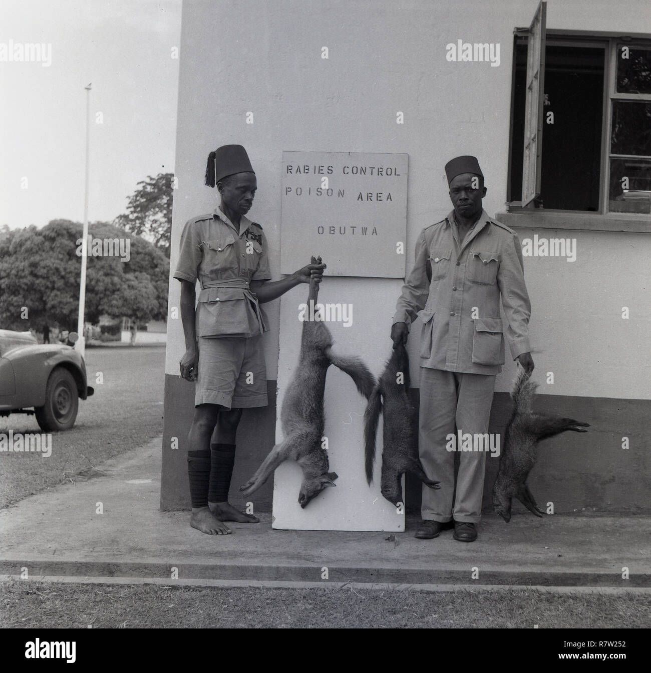 1950s, historical, Outside a rabies control centre, two uniformed ...