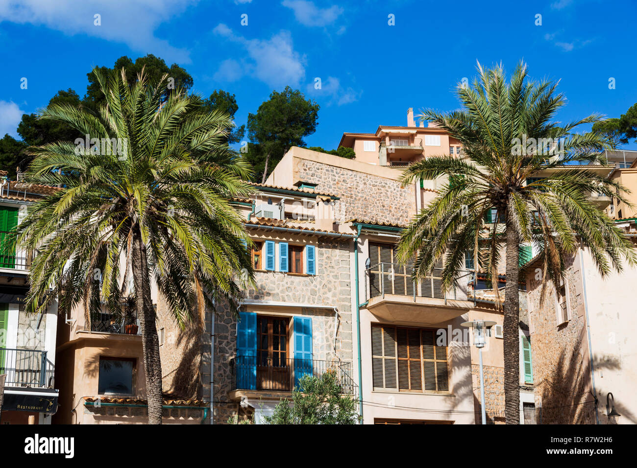 Buildings and palm trees in the village of Port de Sóller, Mallorca ...