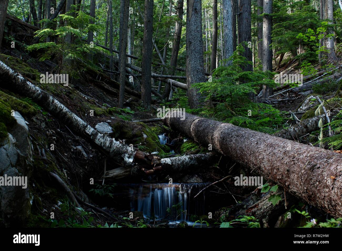 Splendid earth hi-res stock photography and images - Alamy