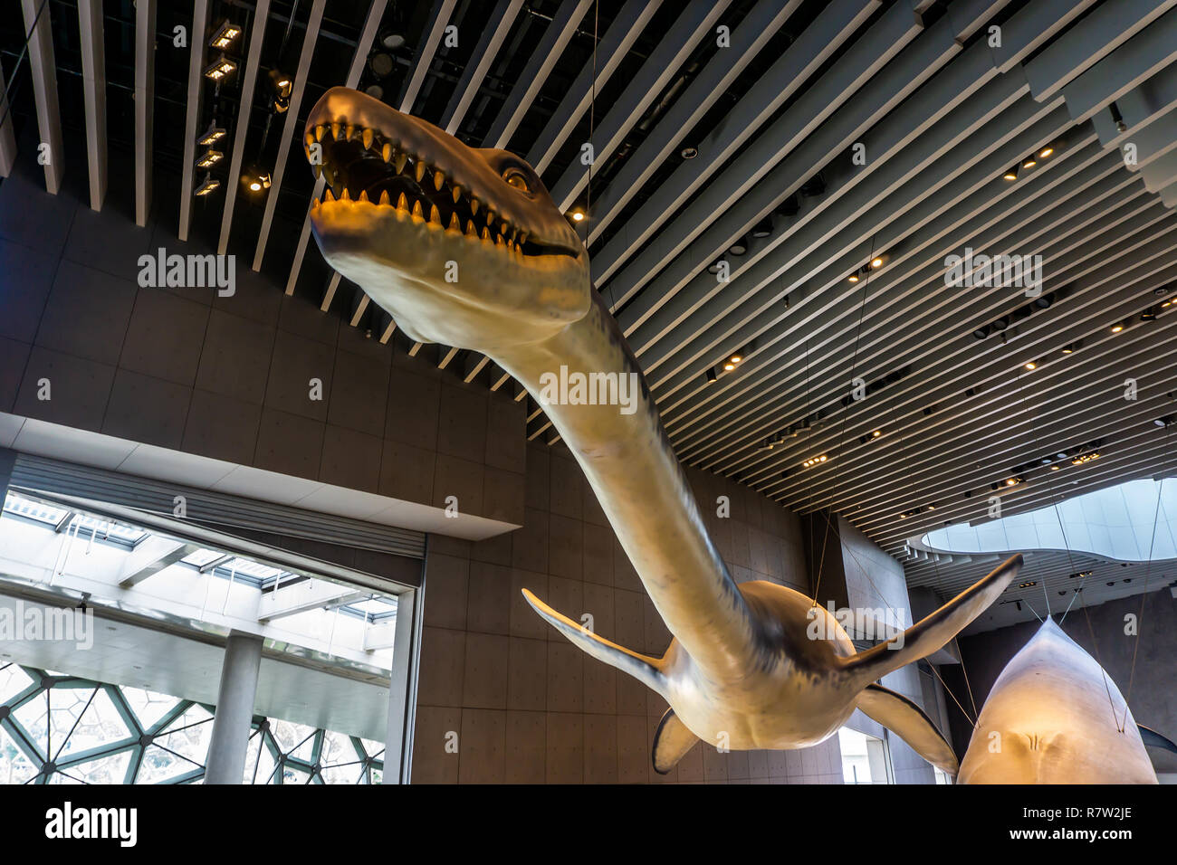 Shanghai Natural History Museum Interior View with Ceiling and ...