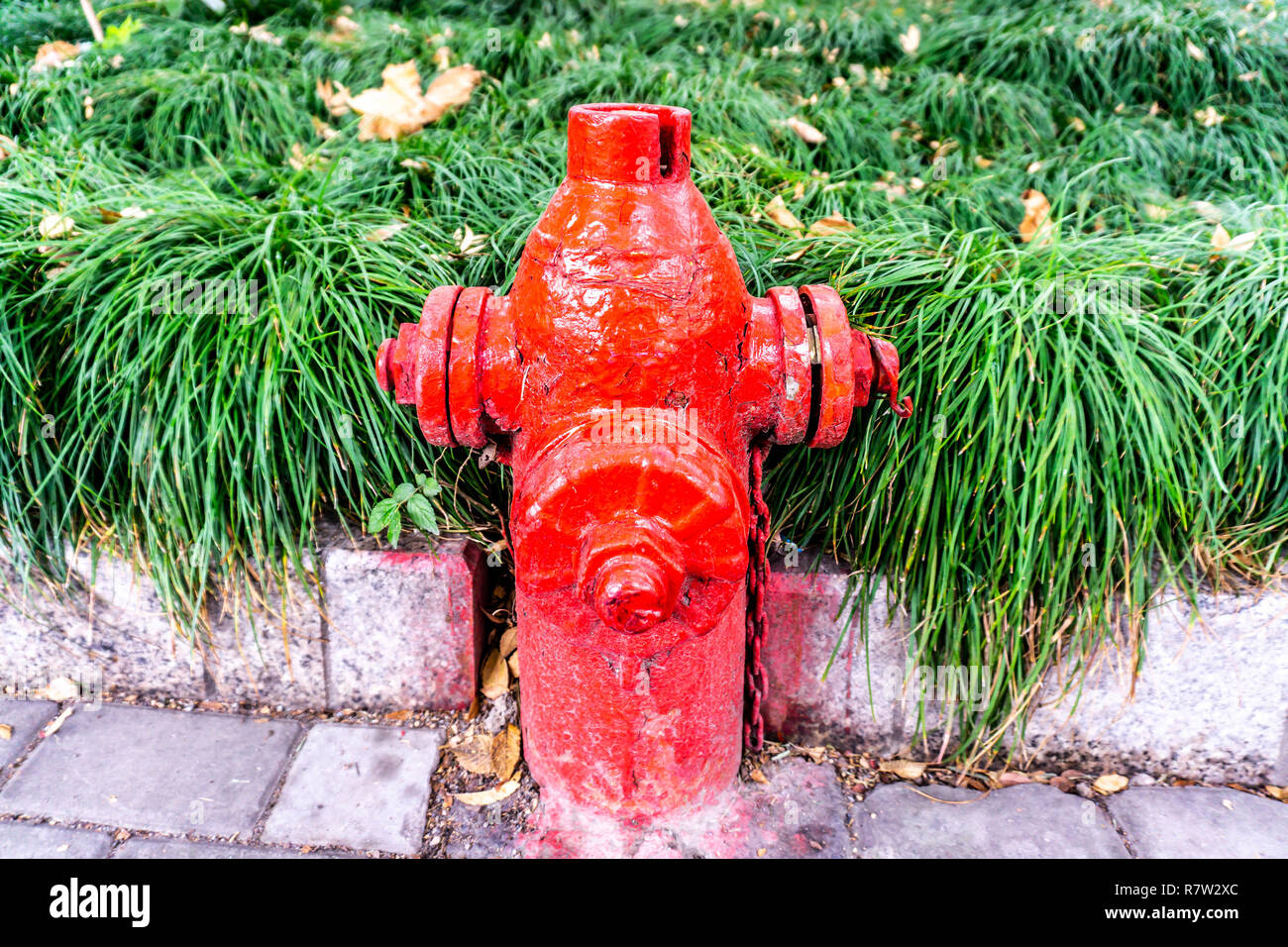 Fire temperature measuring hi-res stock photography and images - Alamy