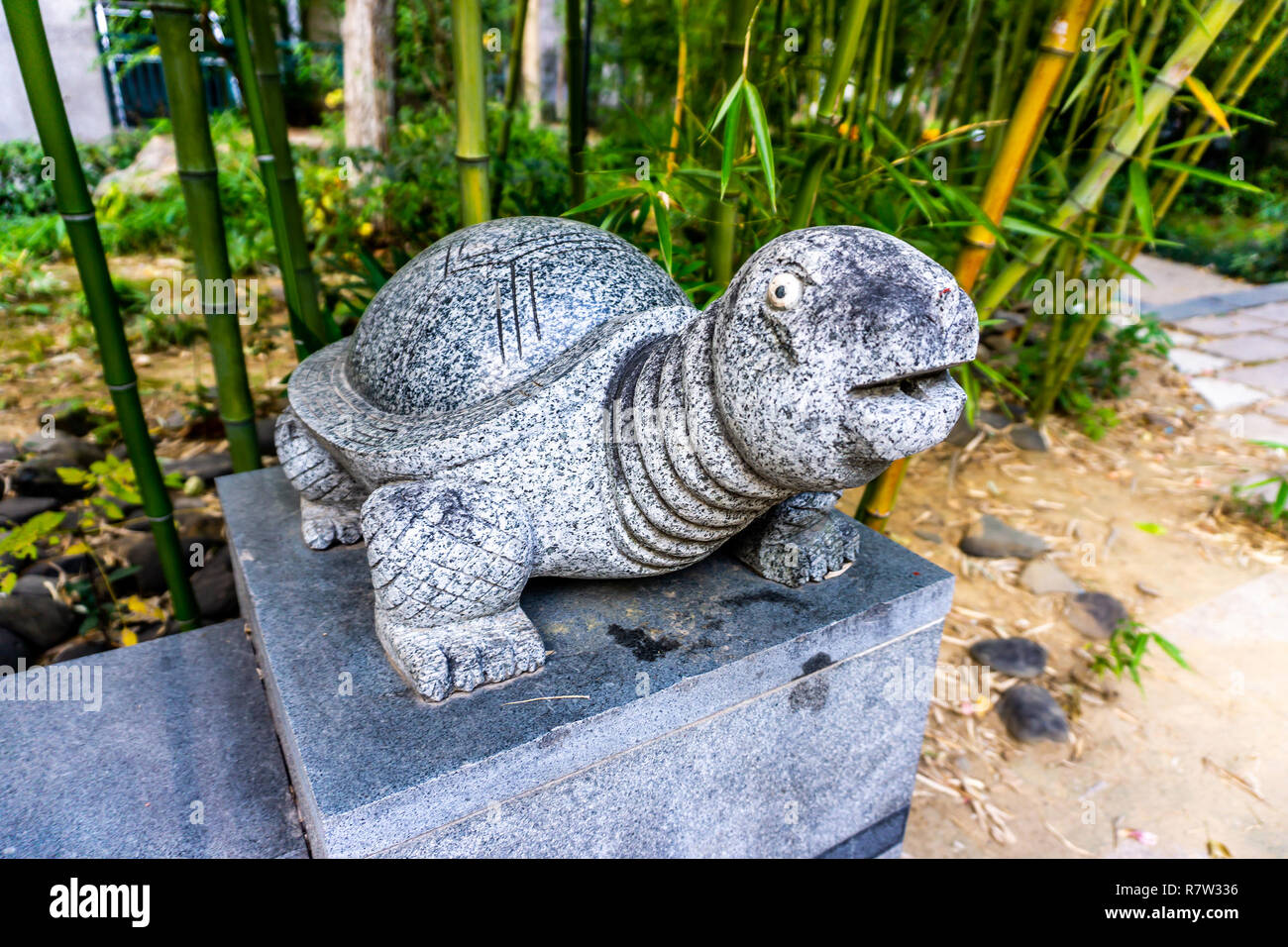 Turtle and bamboo hi-res stock photography and images - Alamy