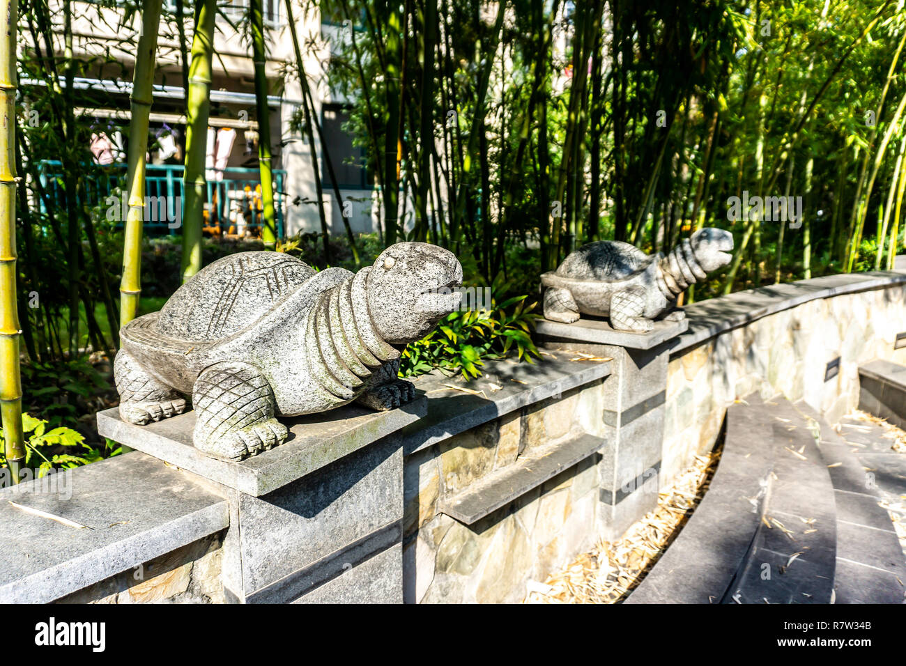China Two Stone Turtles Sculptures with Bamboo Trees Background Side ...