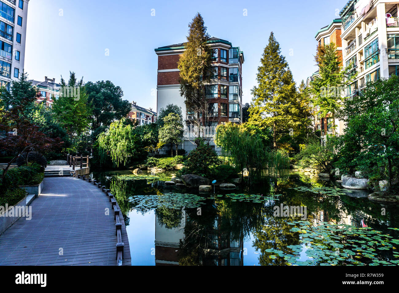 Wuhu Anhui China Water Lily on Pond with Promenade Trees and Apartment ...