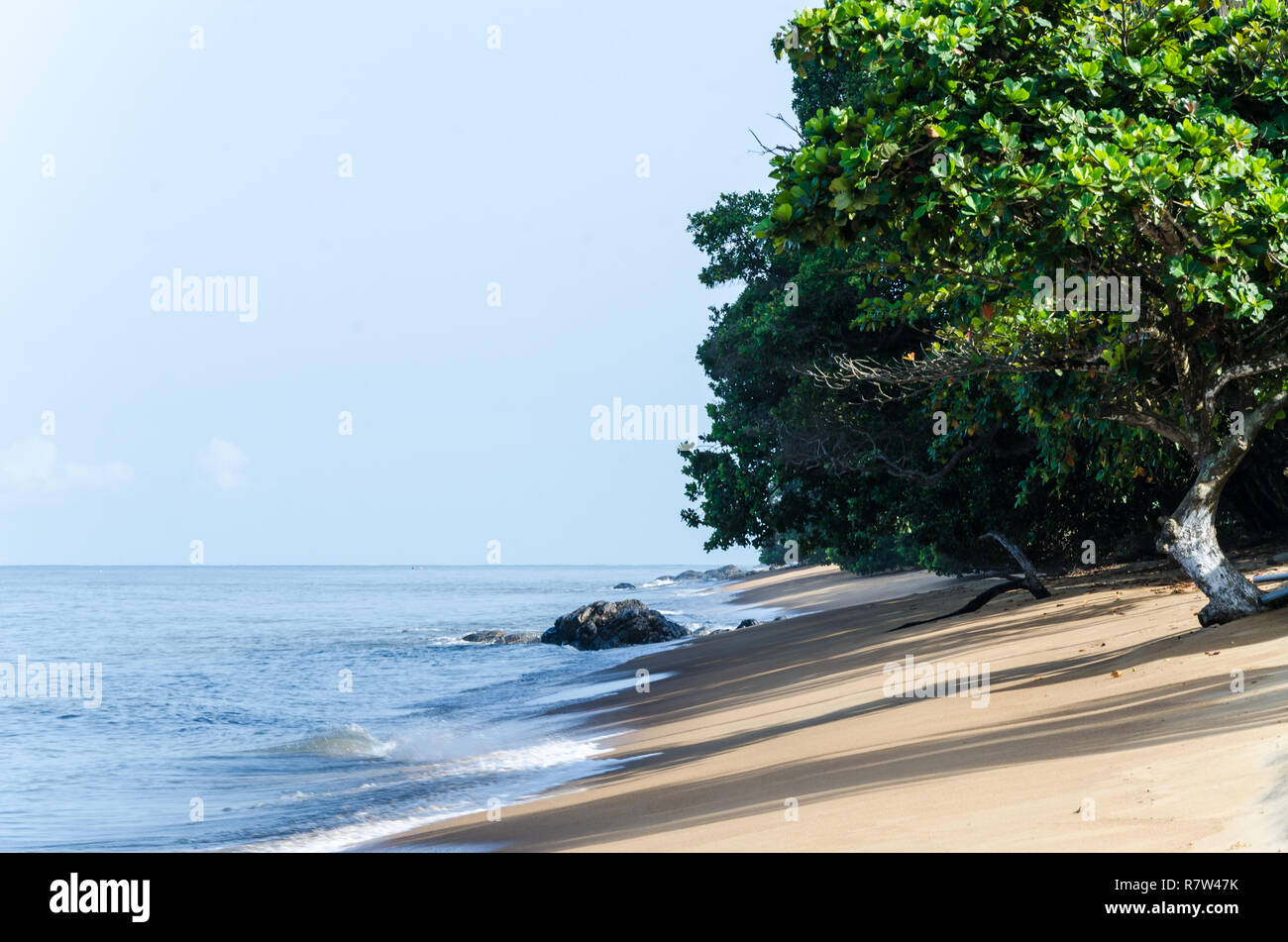 Deserted sandy beach with green trees at coast of Cameroon near Kribi ...