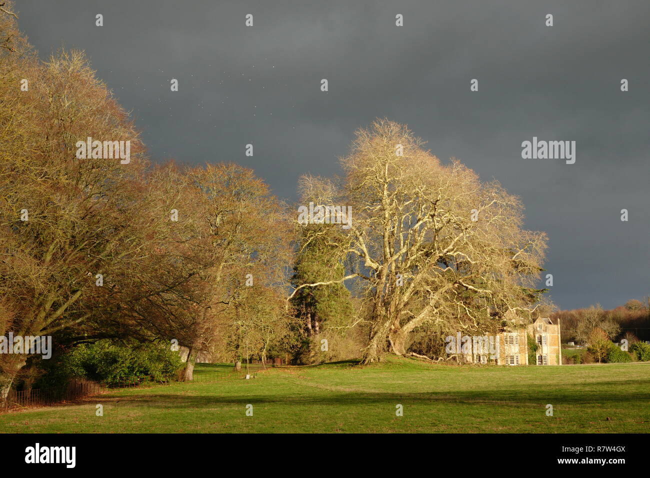 Adlestrop park hi-res stock photography and images - Alamy