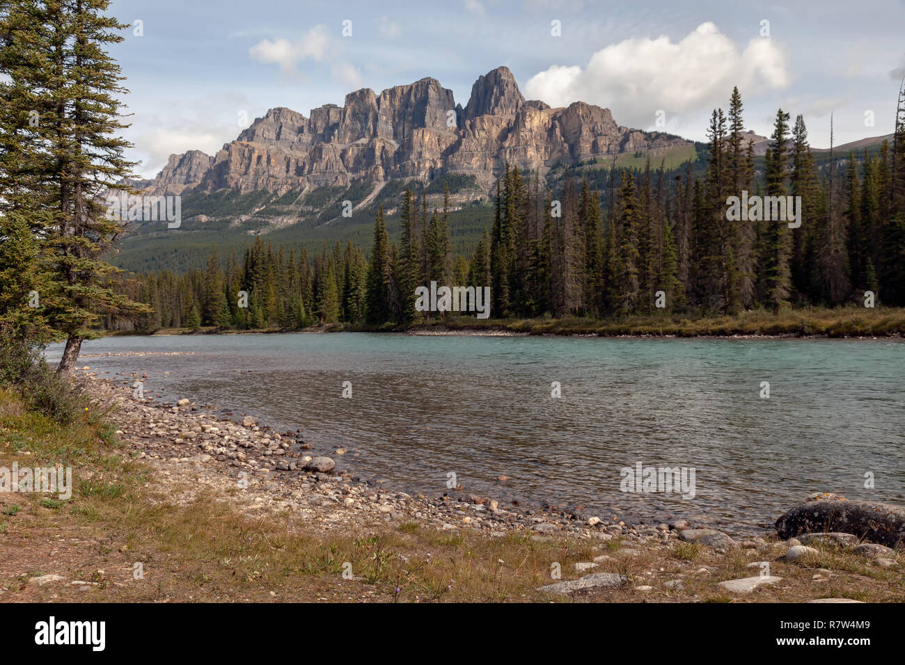 Castle Mountain view from the Bow River bank in Banff National Park Stock Photo - Alamy
