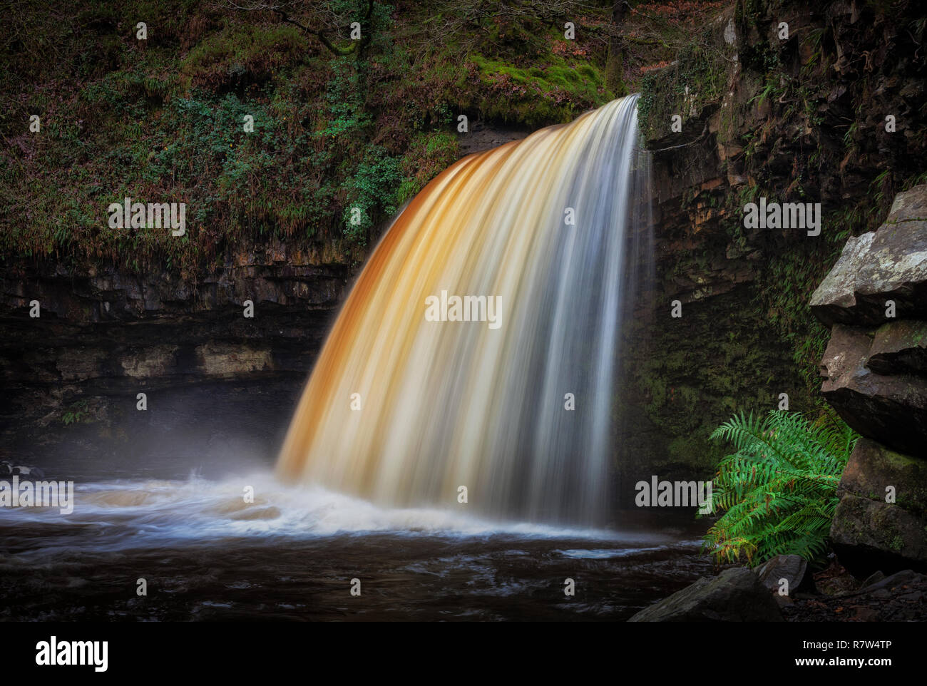 Lady Falls in full flow Stock Photo - Alamy