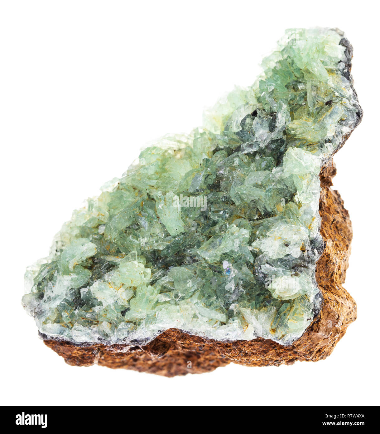 Tamanit hi-res stock photography and images - Alamy