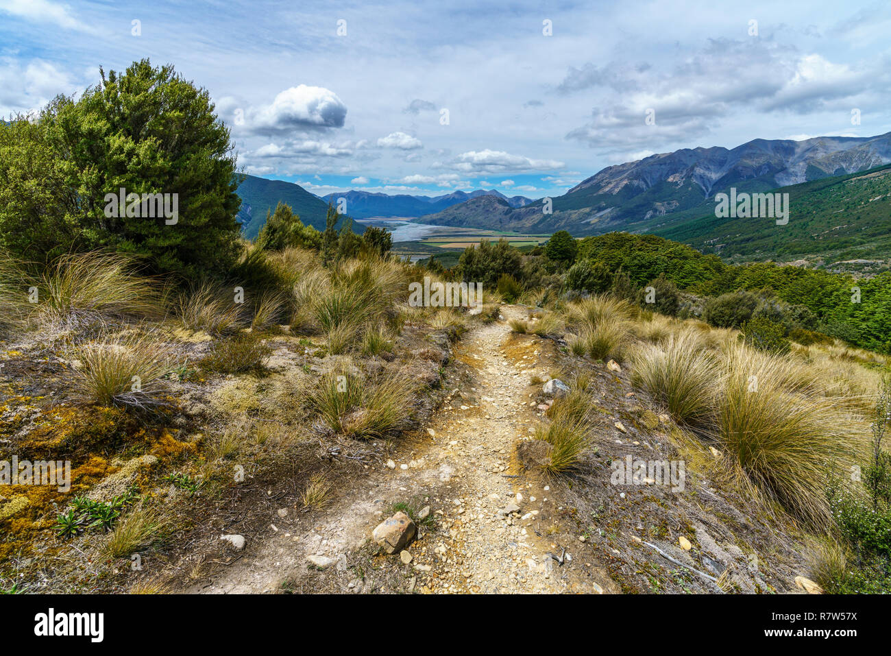 hiking in the mountains, the bealey spur track, arthurs pass, new ...