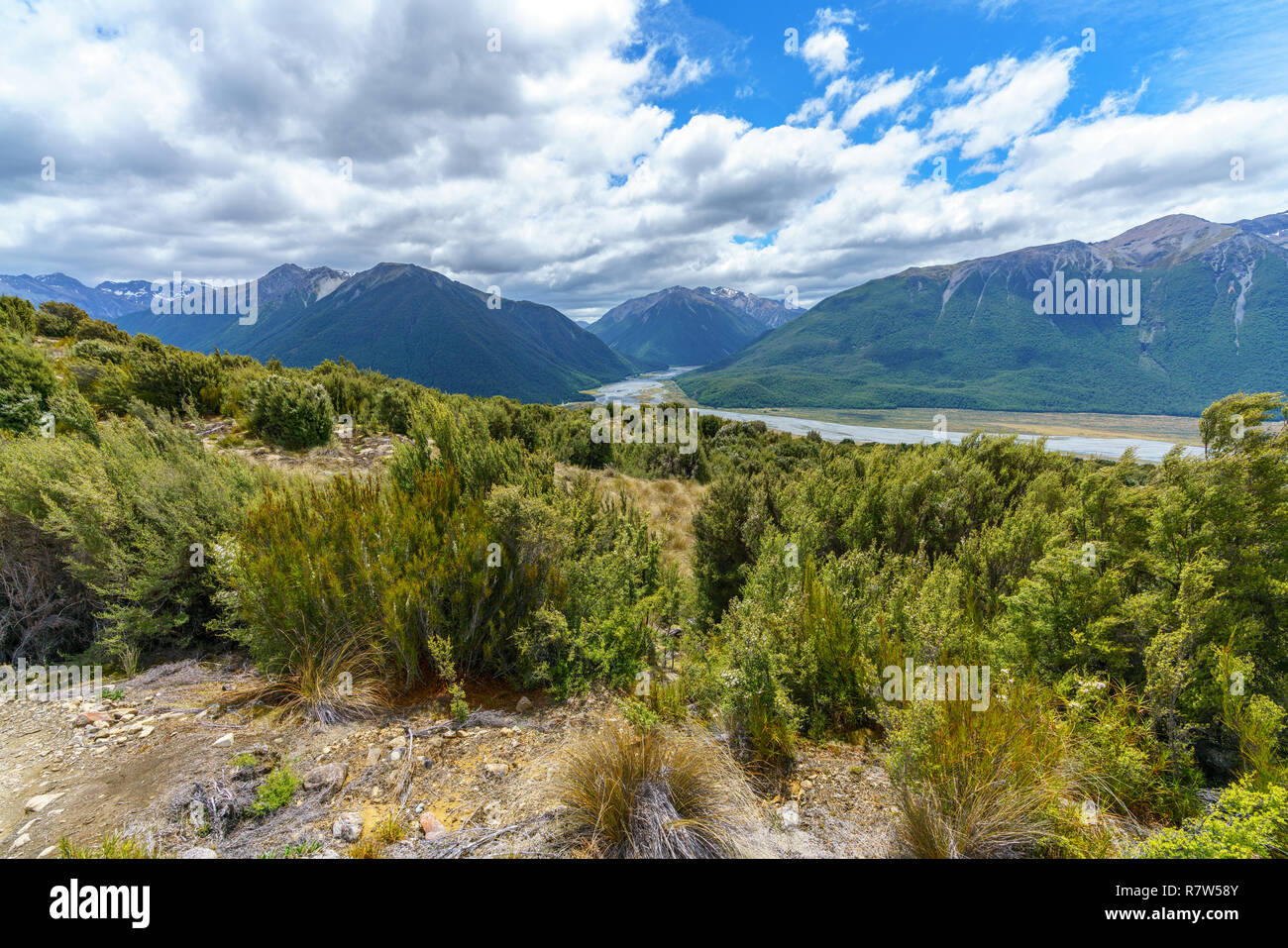 hiking in the mountains, the bealey spur track, arthurs pass, new ...