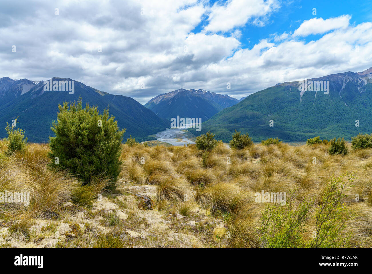 hiking in the mountains, the bealey spur track, arthurs pass, new ...