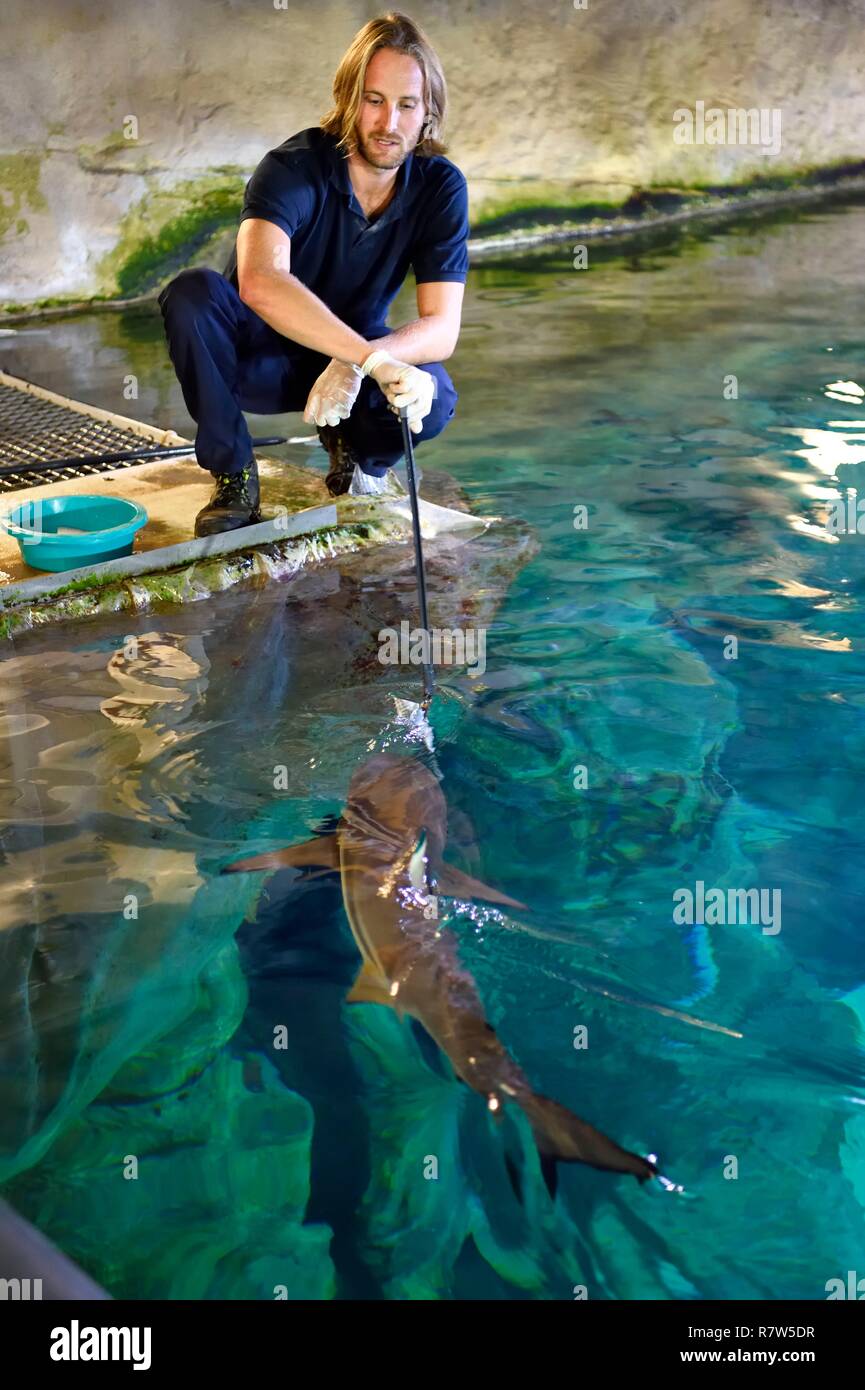 France, Pyrenees Atlantiques, Basque Country, Biarritz, Aquarium - the ...