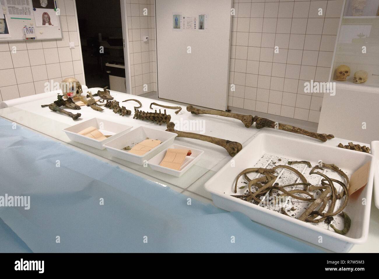 Forensic Anthropology Lab Smithsonian