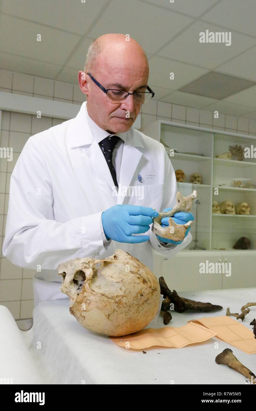 Human identification hi-res stock photography and images - Alamy