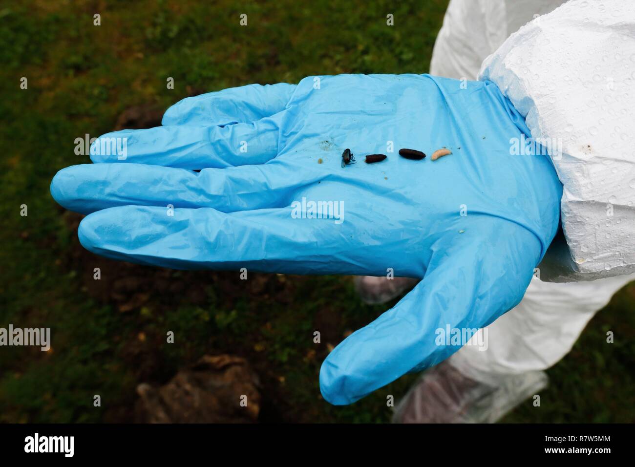 Forensic uniform hi-res stock photography and images - Alamy