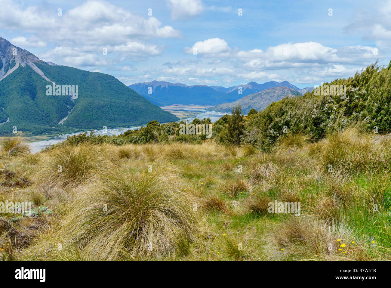 hiking in the mountains, the bealey spur track, arthurs pass, new ...