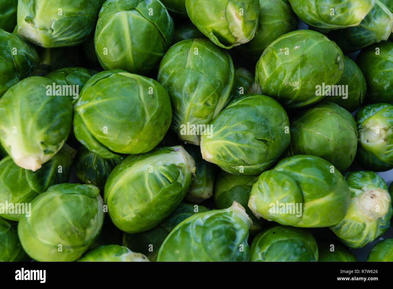 traditional german Food smoked pork with brussels sprouts Stock Photo ...