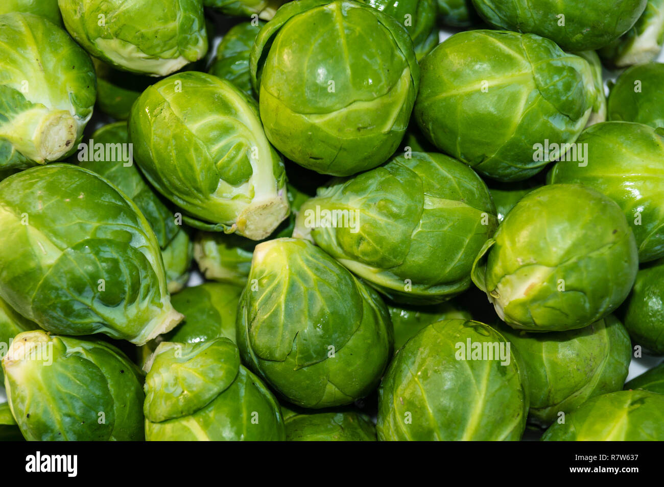 traditional german Food smoked pork with brussels sprouts Stock Photo ...