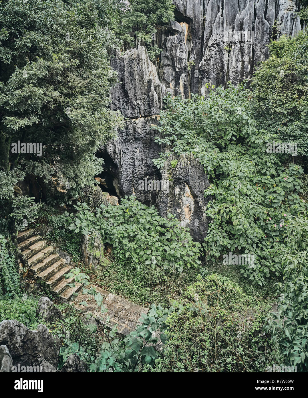 Shilin karst hi-res stock photography and images - Alamy