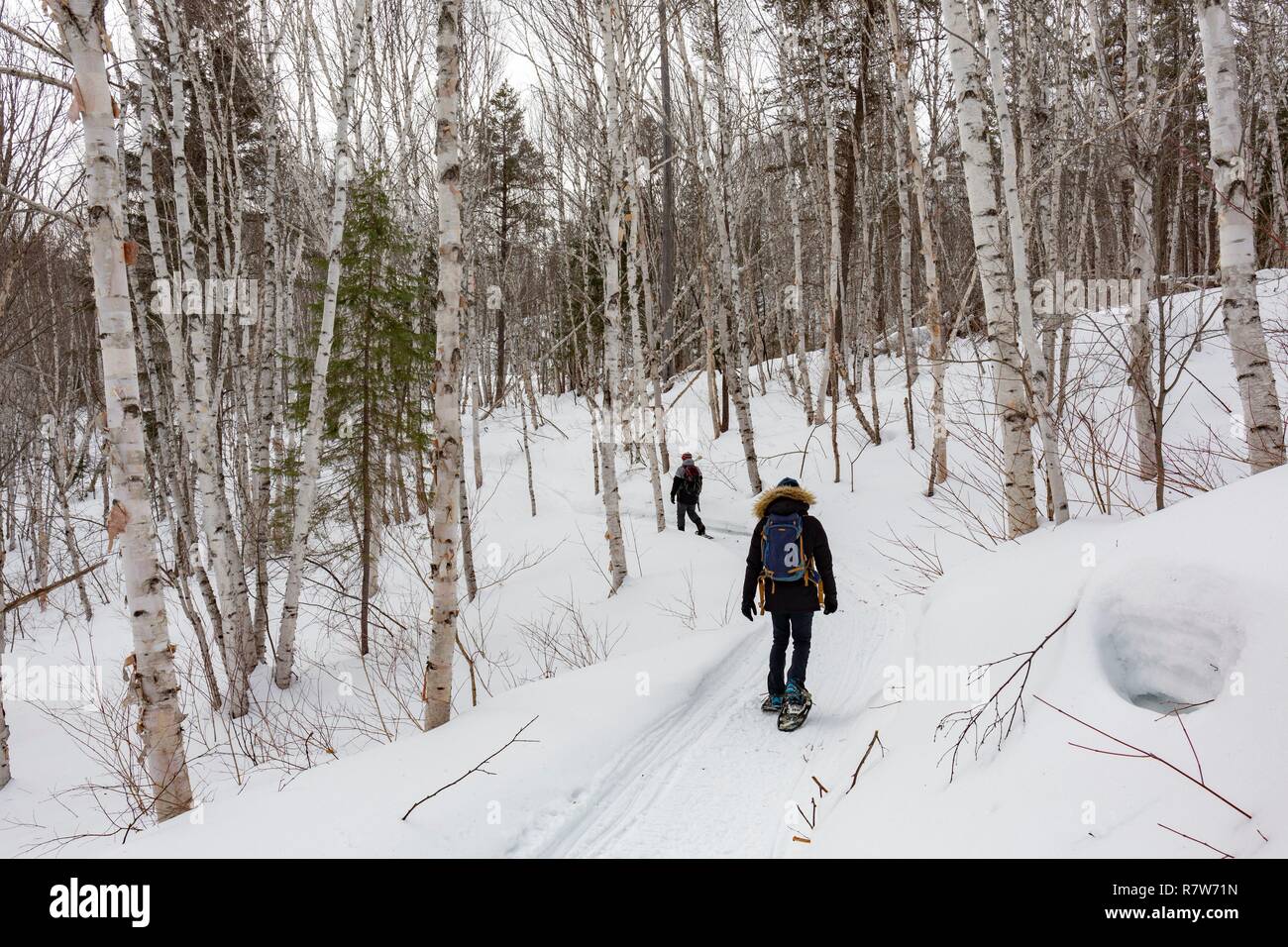 Abitibi region hi-res stock photography and images - Alamy