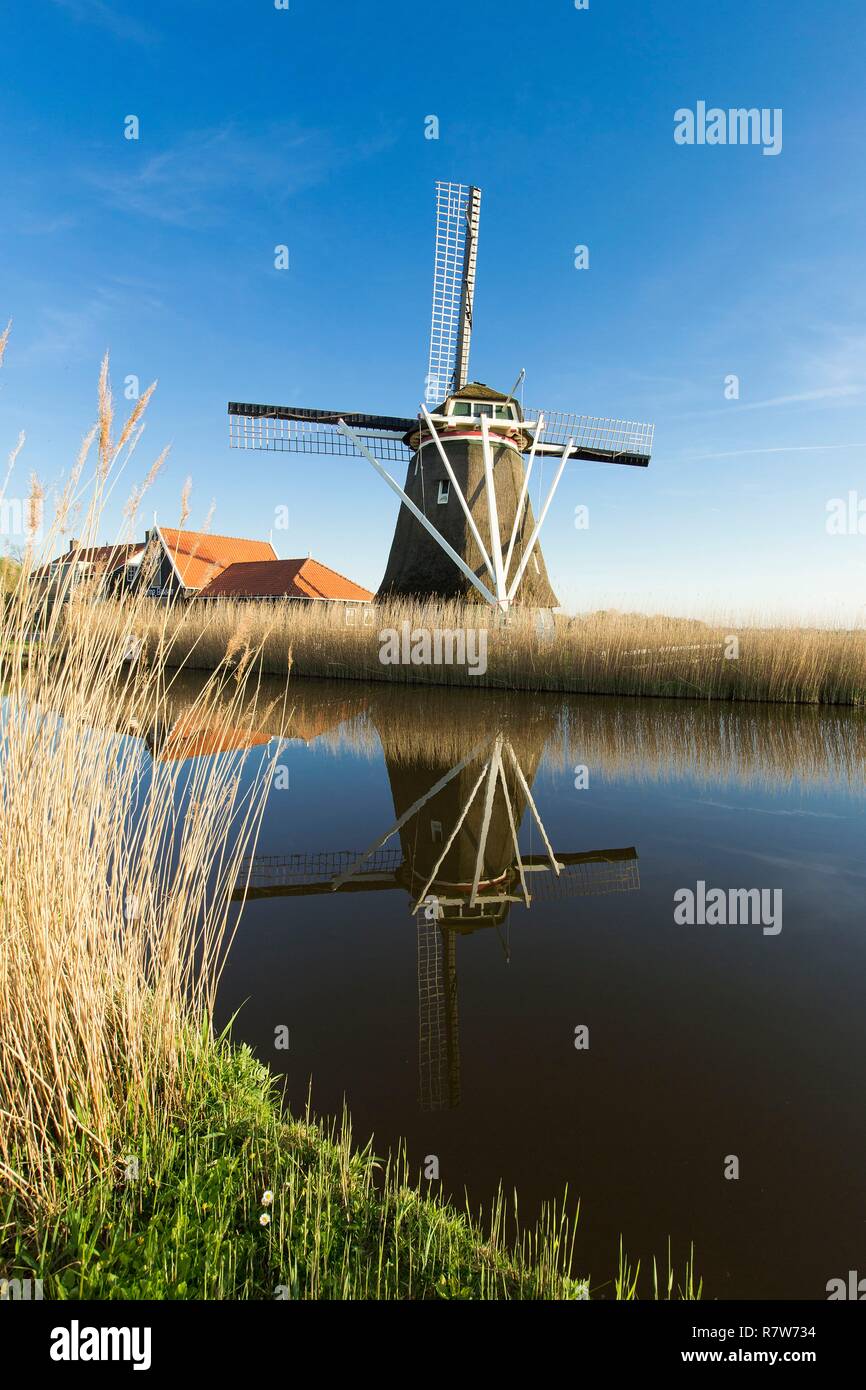 Netherlands, Southern Holland province, Leeghwater region, Oterleek ...