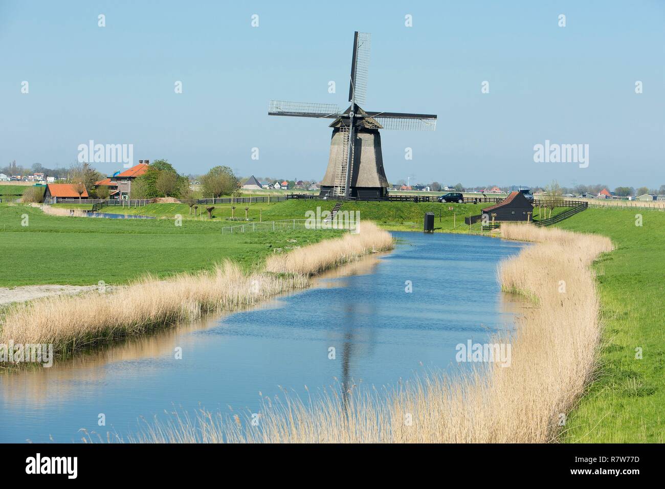 Netherlands, Southern Holland province, Leeghwater region, De Rijp ...