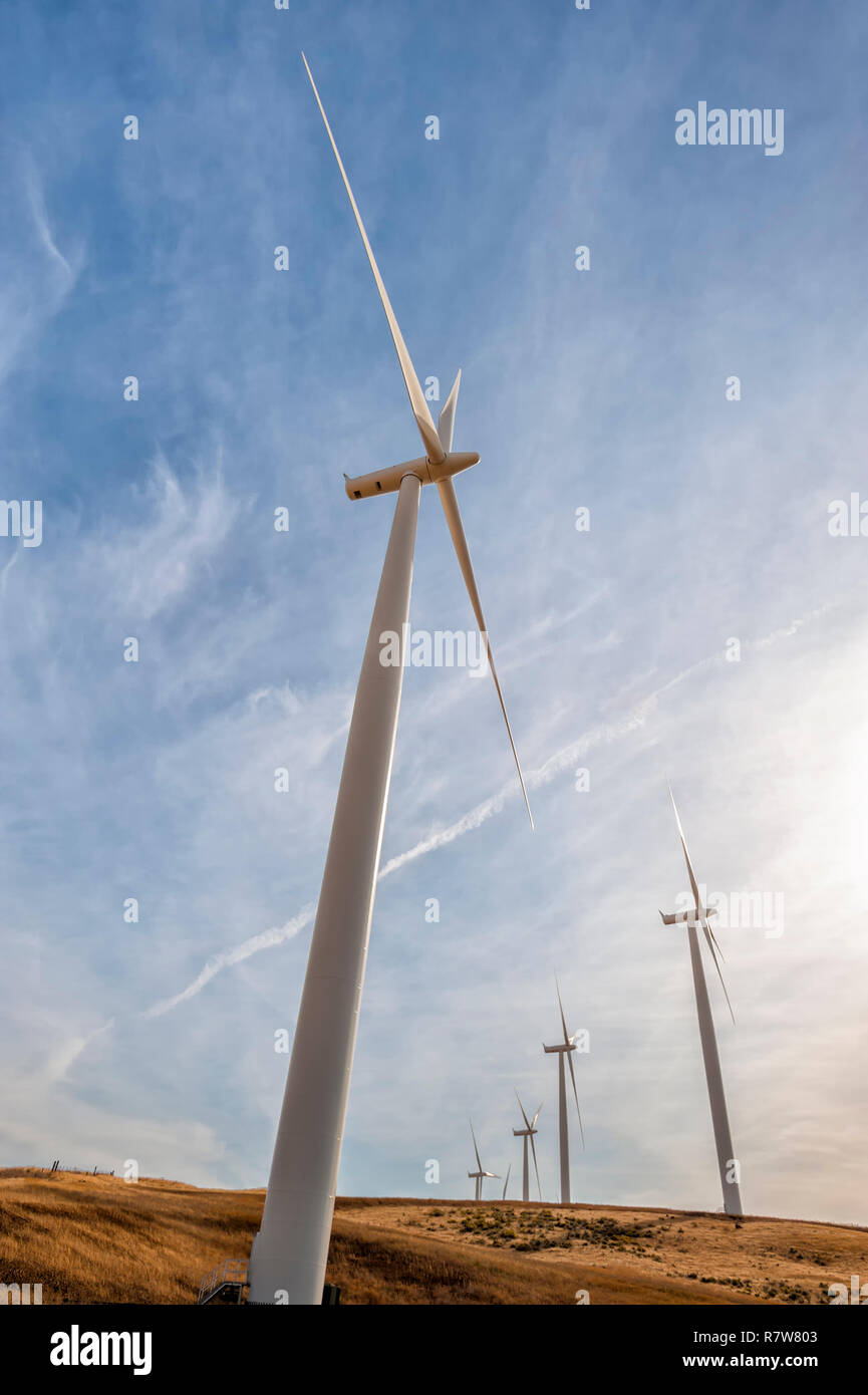 Wind turbines at windy hill wind farm hi-res stock photography and ...