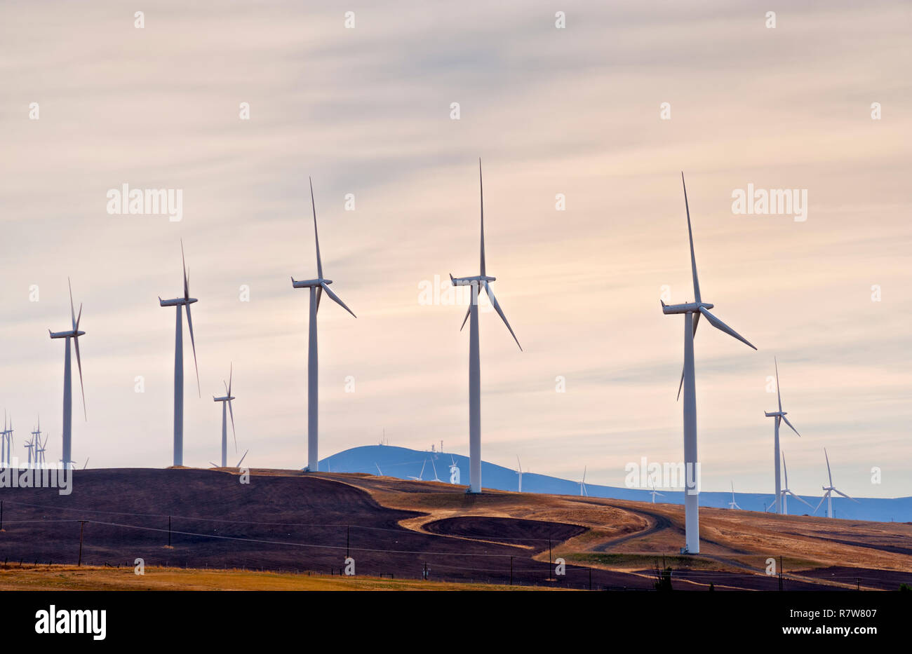 Wind turbines at the Windy Point/Windy flats project in Goldendale ...