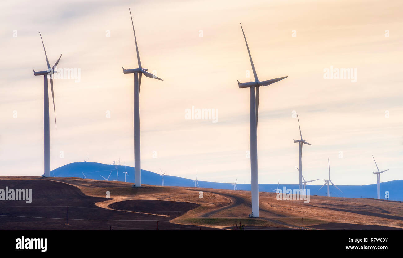Wind turbines at the Windy Point/Windy flats project in Goldendale ...