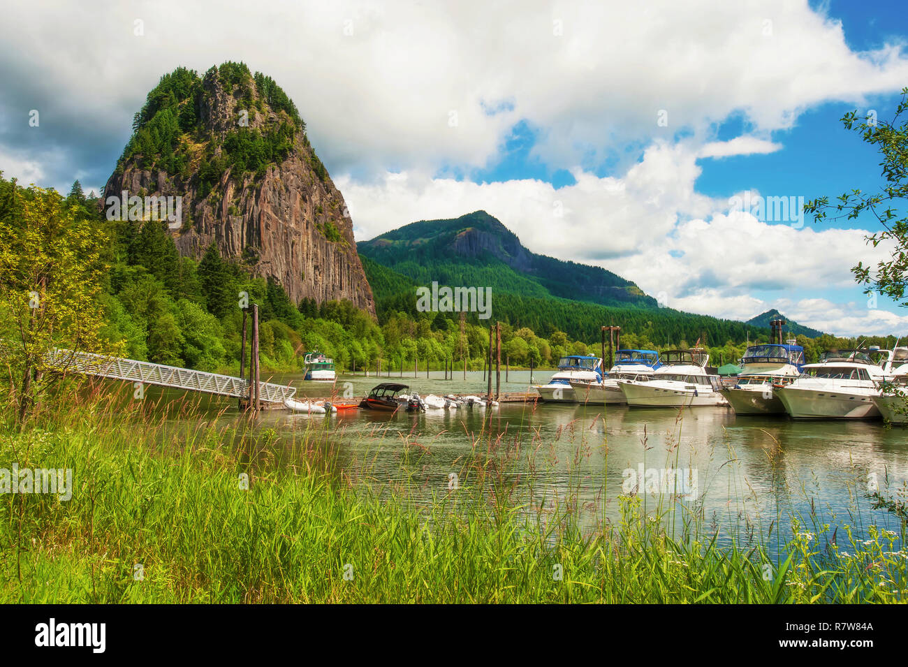 Beacon Hill Rock, Washington, USA - June 24, 2012: Boats docked on the ...