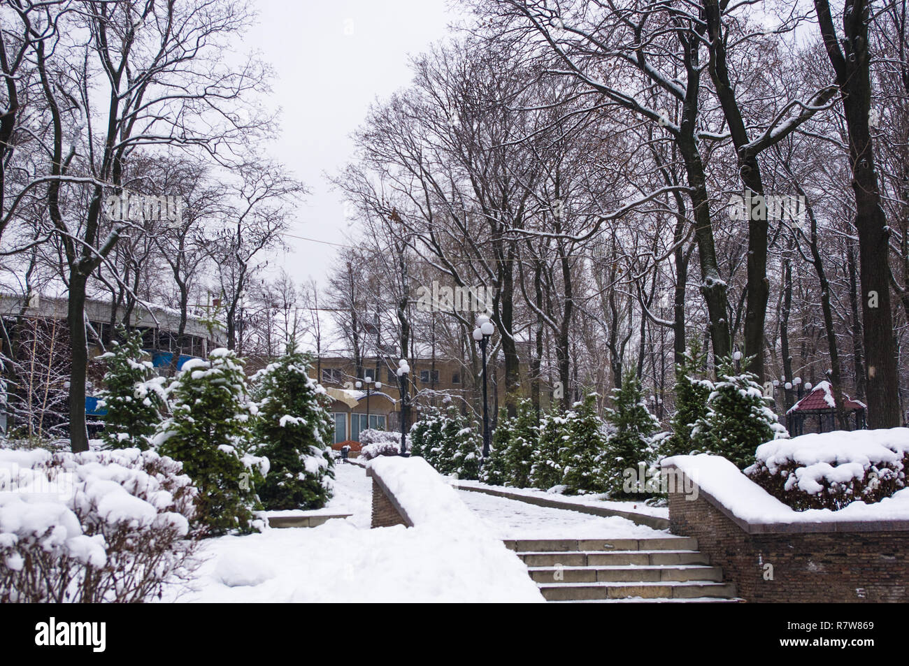 snow-covered branches and trees in the city park, winter landscape ...