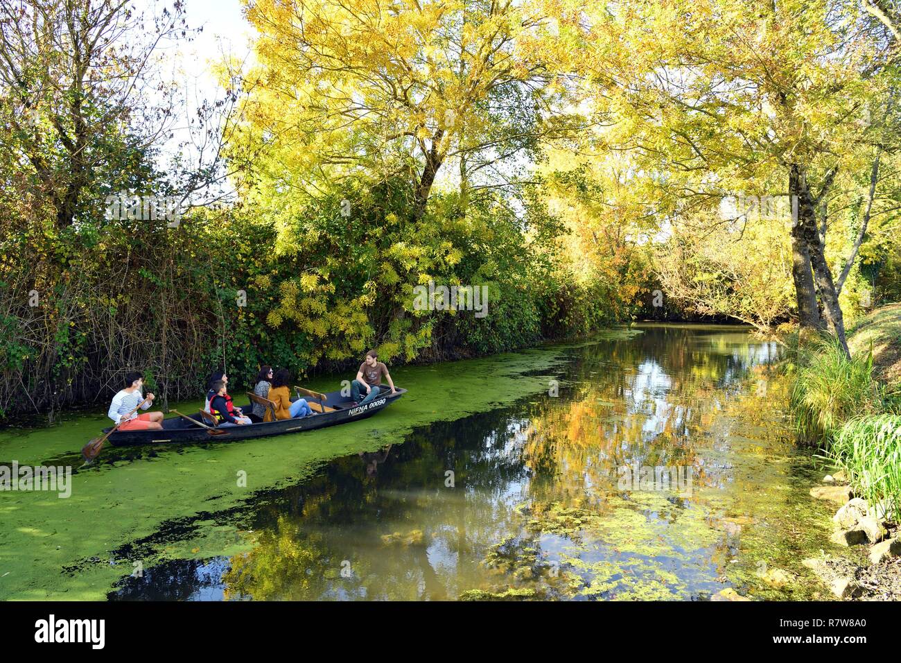 France, Vendee, Interregional Park of the Marais Poitevin labelled ...