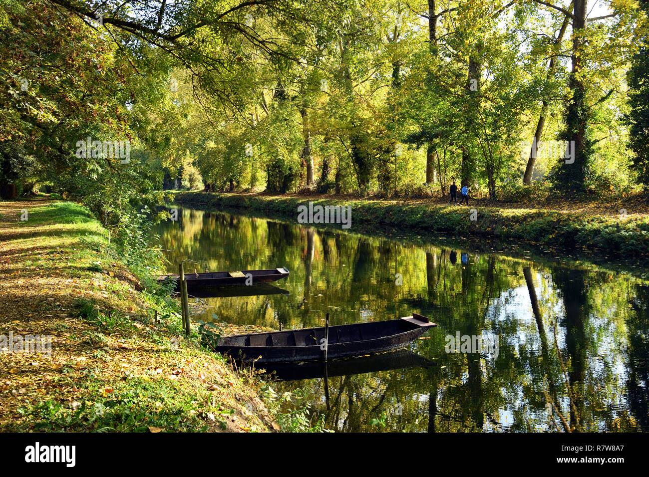 France, Deux Sevres, Interregional Park of the Marais Poitevin labelled ...