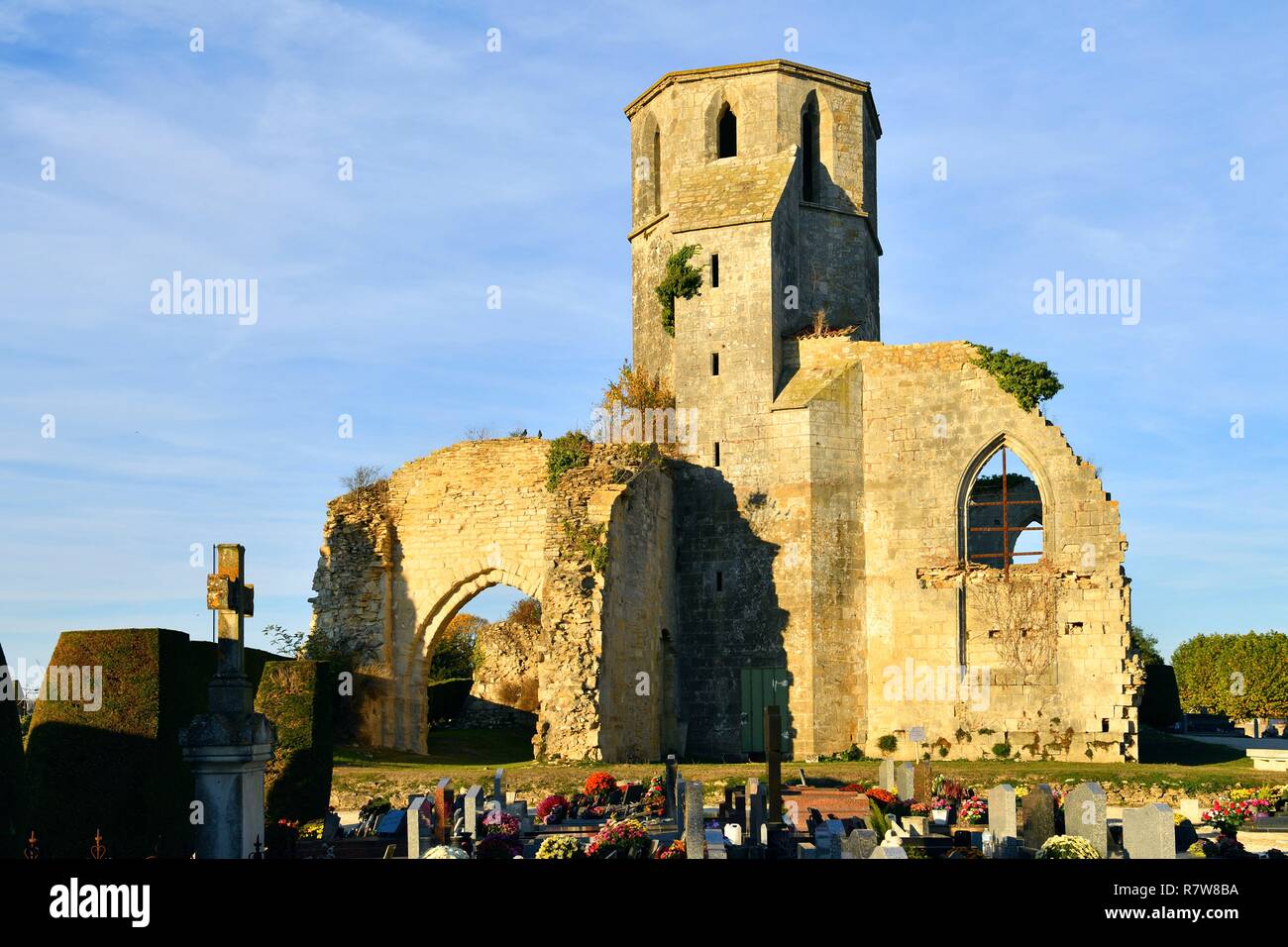 France, Charente Maritime, Interregional Park of the Marais Poitevin ...