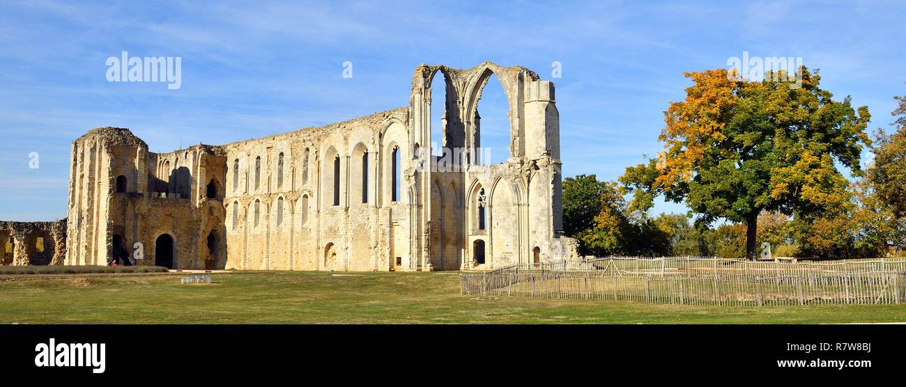 France, Vendee, Interregional Park of the Marais Poitevin labelled ...