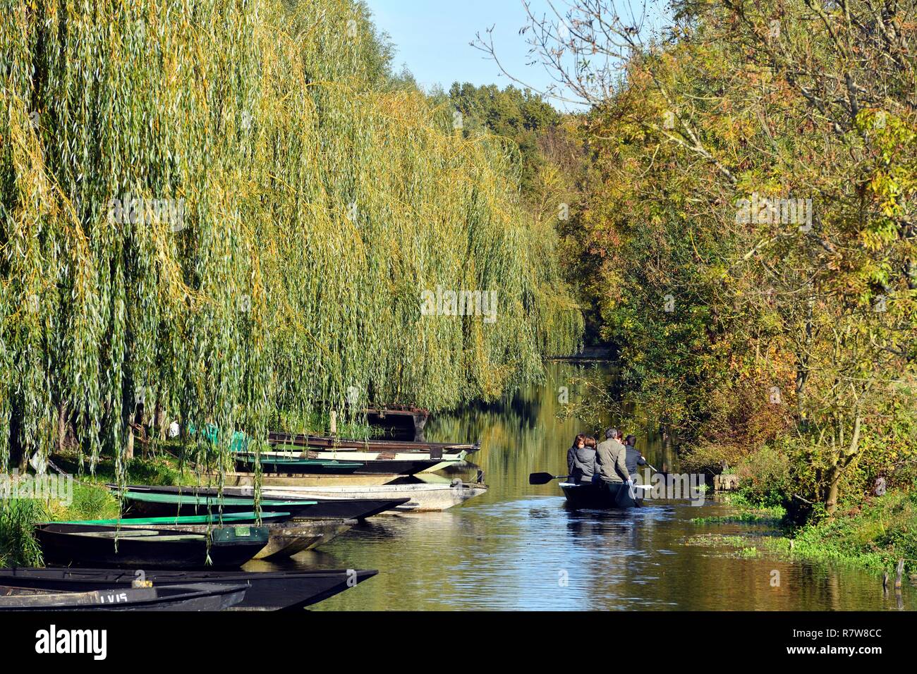 France, Deux Sevres, Interregional Park of the Marais Poitevin labelled ...