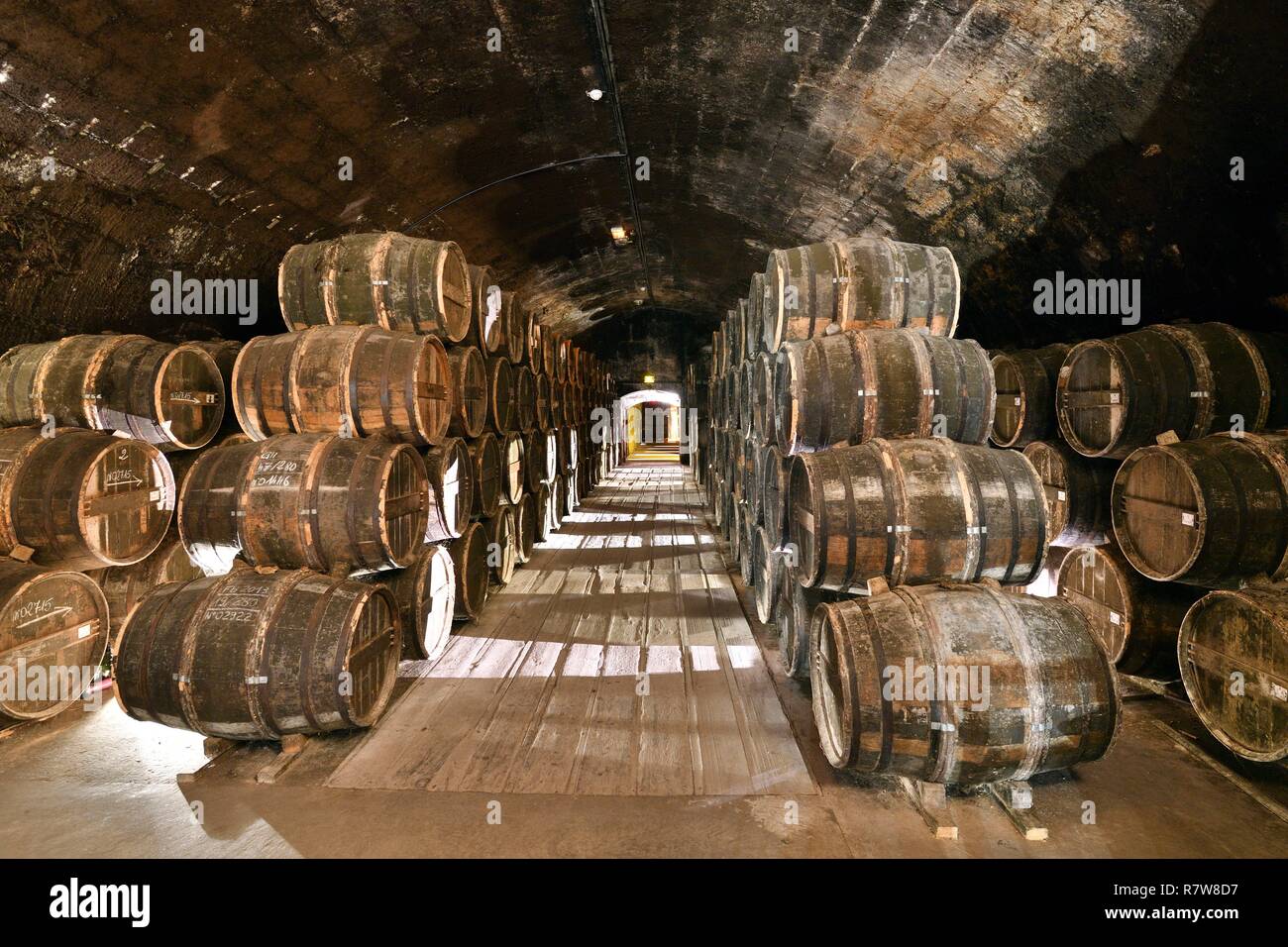 France, Charente, Cognac, Valois castle, Musee du Cognac, Otard Cellars ...