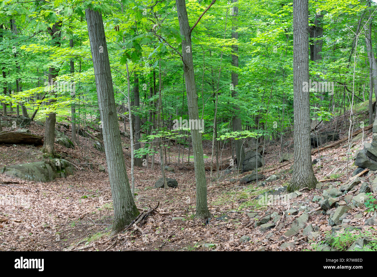 Blauvelt state park hi-res stock photography and images - Alamy