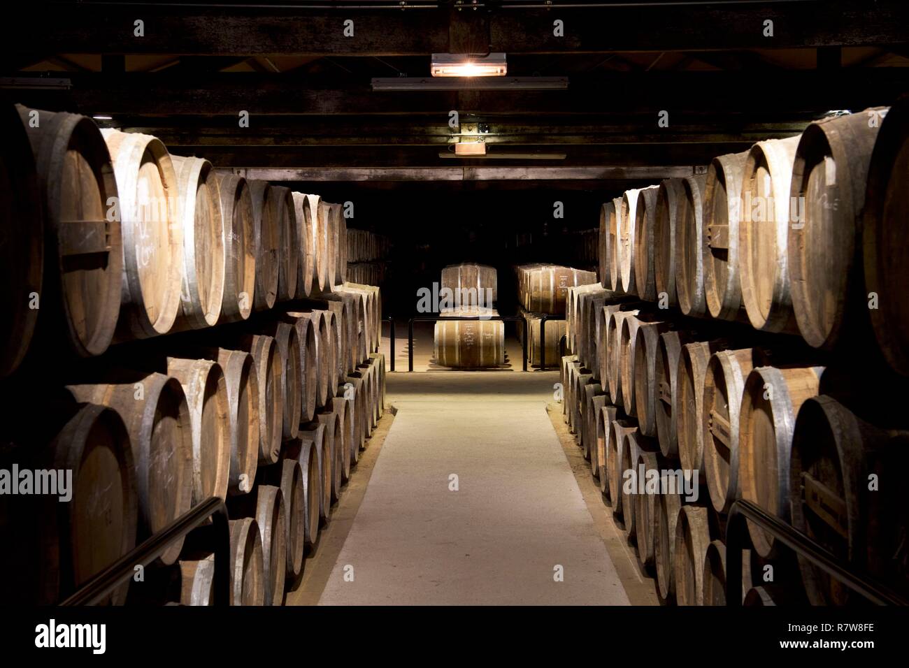 France, Charente, Cognac, Hennessy cognac house, cellar, barrel ...