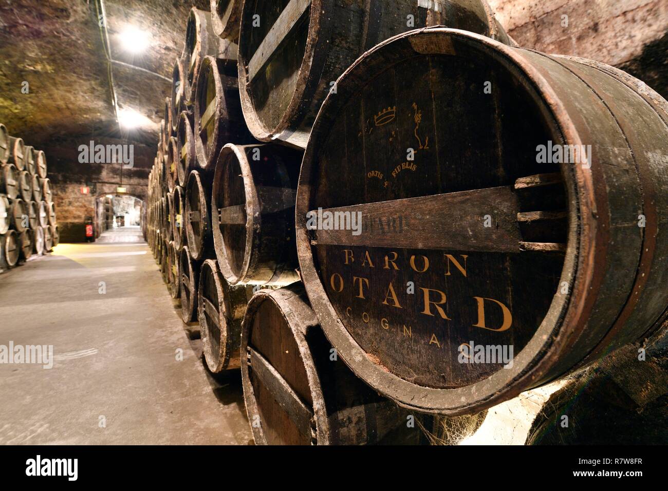 France, Charente, Cognac, Valois castle, Musee du Cognac, Otard Cellars ...