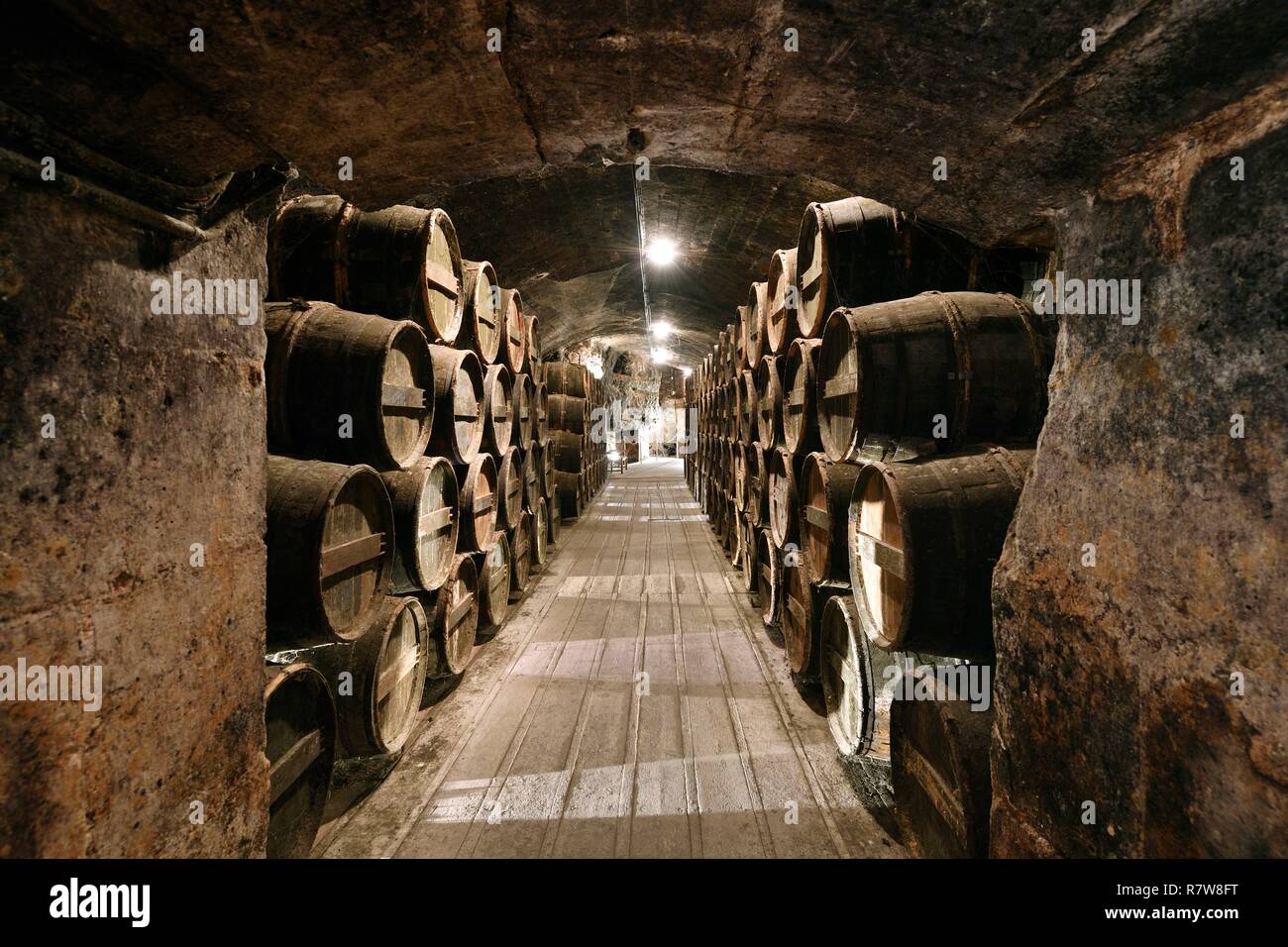 France, Charente, Cognac, Valois castle, Musee du Cognac, Otard Cellars ...